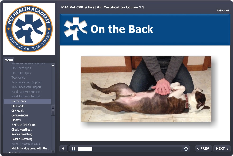 Pet CPR - Why Certify? - Pet Health Academy